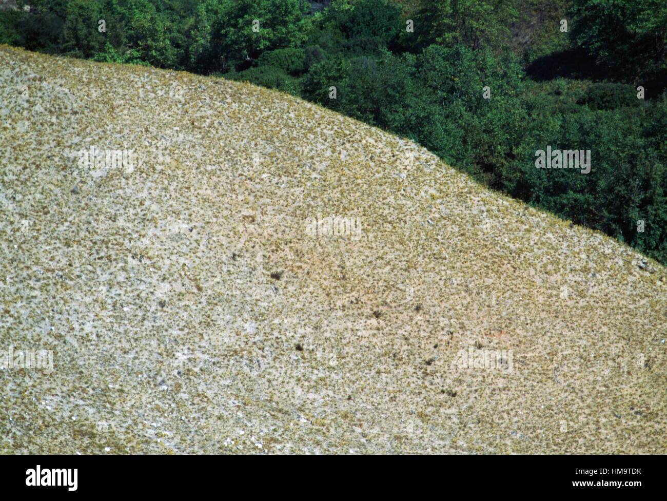 Anogeia crete hi-res stock photography and images - Alamy