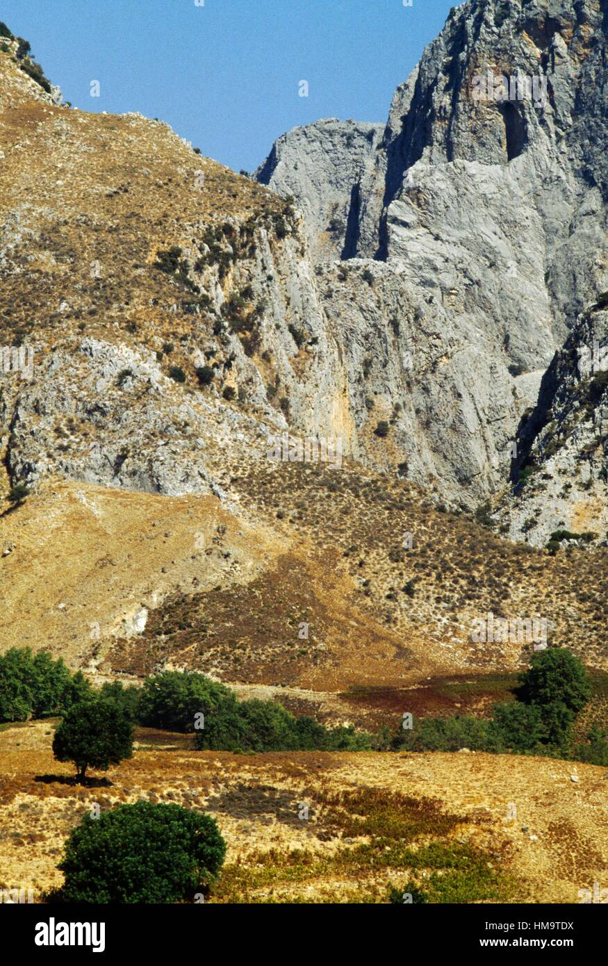 Anogeia crete hi-res stock photography and images - Alamy