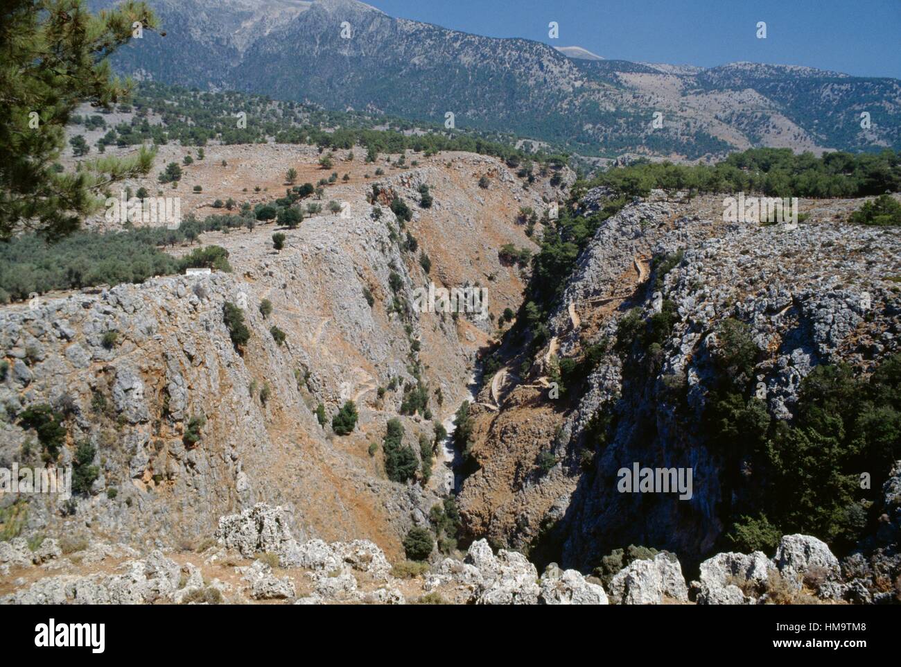 Gorge near Aradena cave, Crete, Greece Stock Photo - Alamy