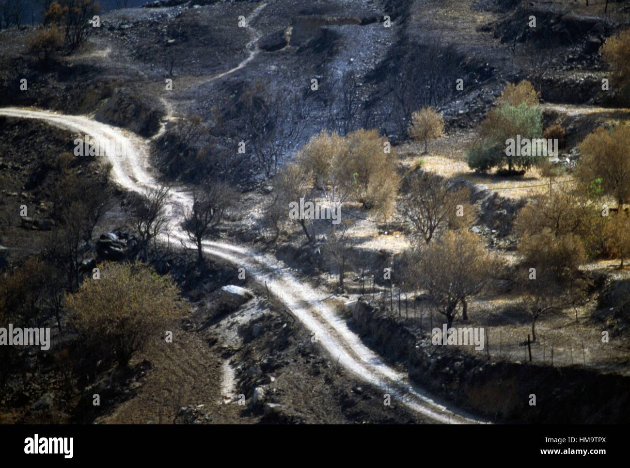 Crops after a fire, Crete, Greece Stock Photo - Alamy