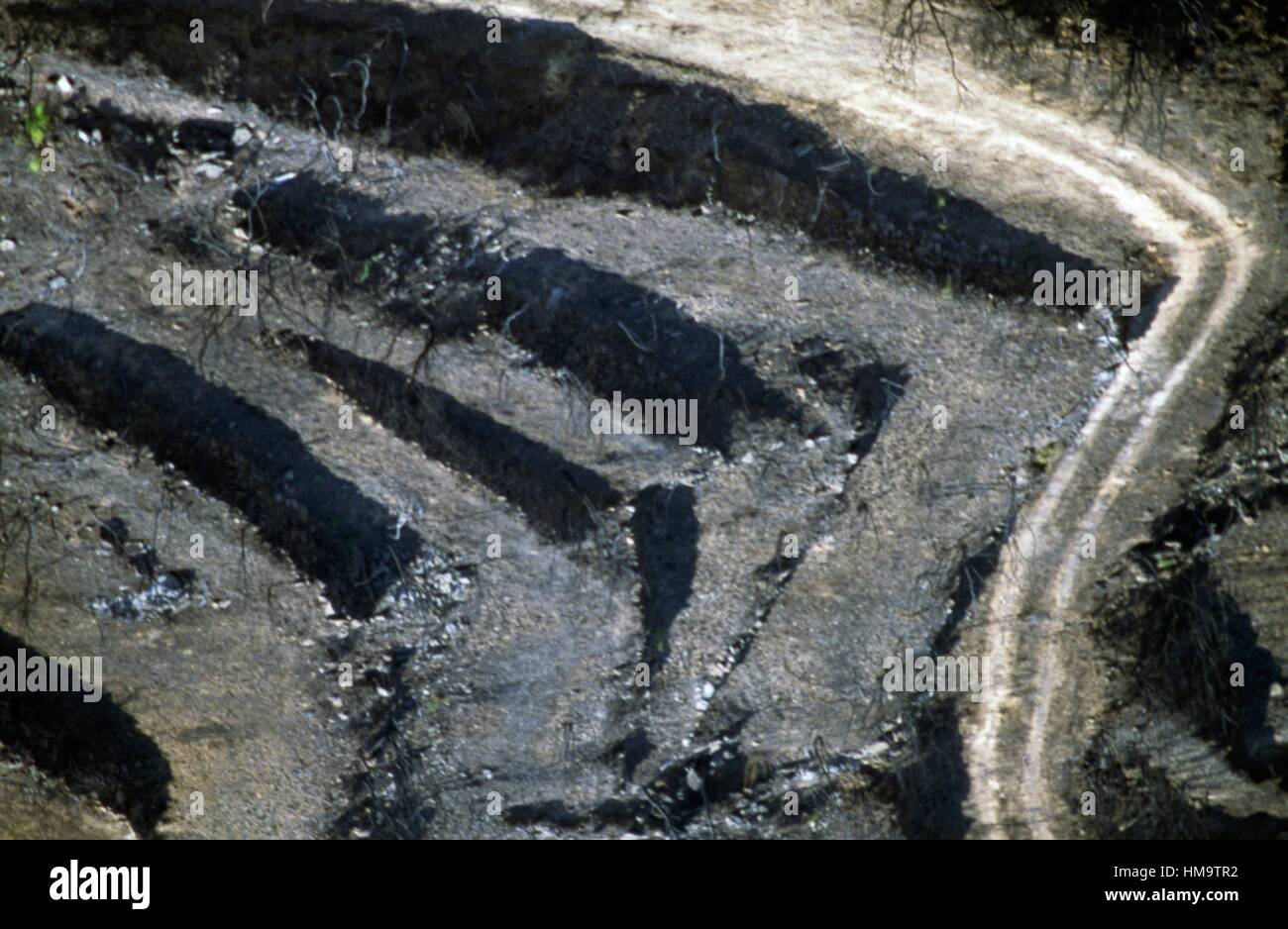 Fire damaged fields hi-res stock photography and images - Alamy