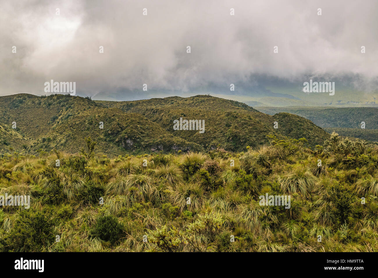 Andean landscape scene at Cotopaxi national park, Ecuador Stock Photo ...