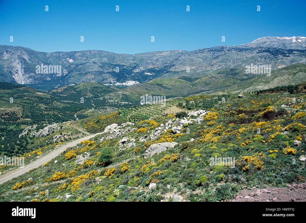 Landscape between Viannos and Mount Dikti, Crete, Greece Stock Photo ...