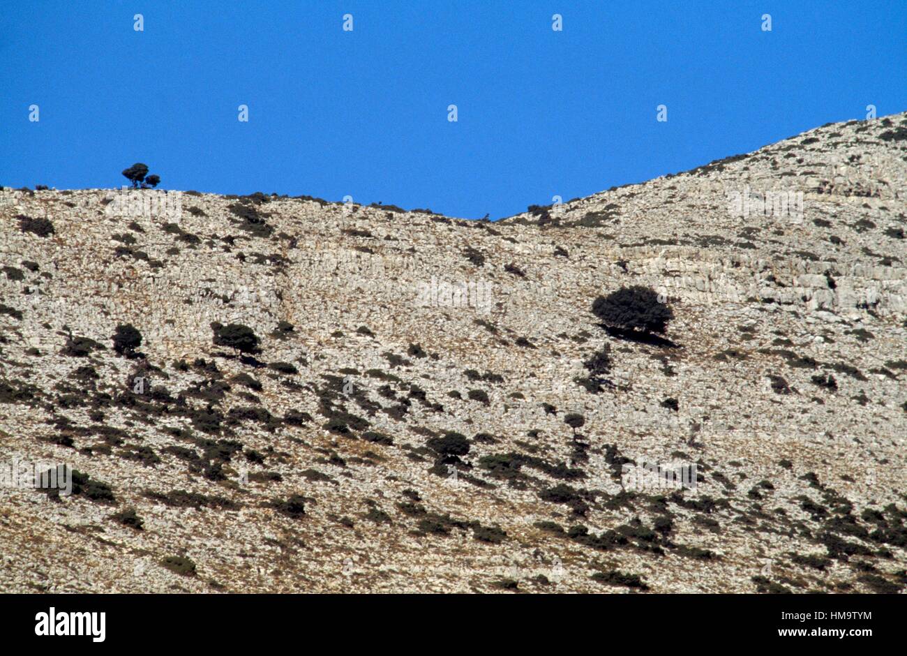 Mount dikti in hi-res stock photography and images - Alamy