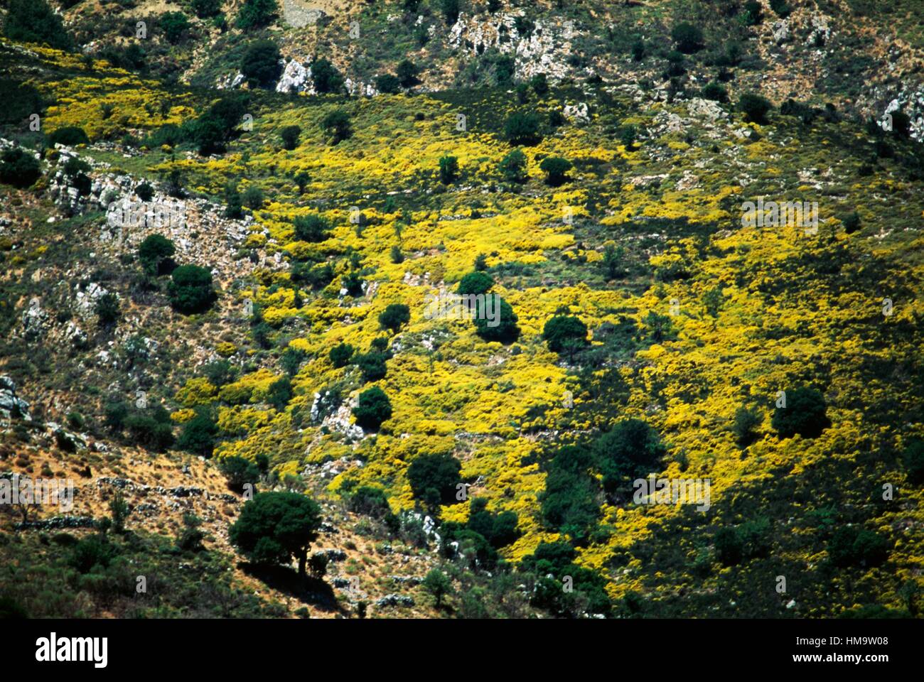 Landscape, Lassithi plateau, Crete, Greece Stock Photo - Alamy