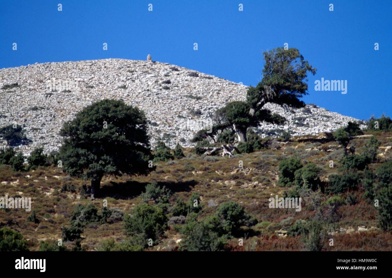 Landscape, Lassithi plateau, Crete, Greece Stock Photo - Alamy
