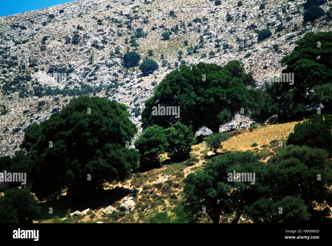 Landscape, Lassithi plateau, Crete, Greece Stock Photo - Alamy