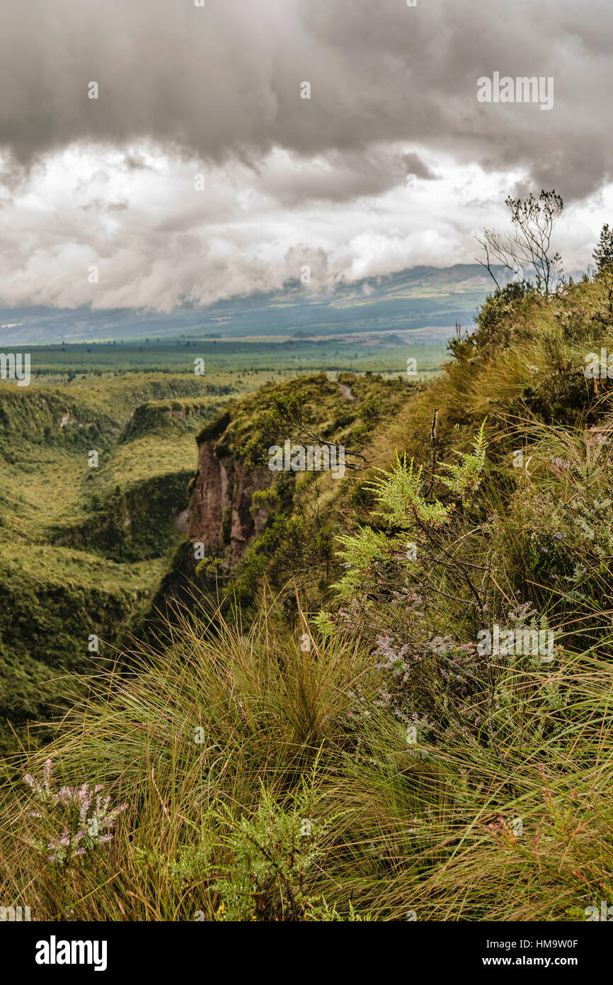 Andean landscape scene at Cotopaxi national park, Ecuador Stock Photo ...