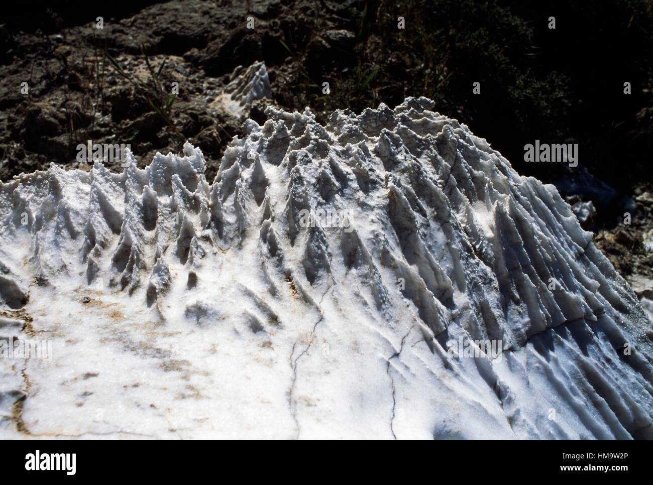Limestone outcrop, Skordilo, Crete, Greece Stock Photo - Alamy