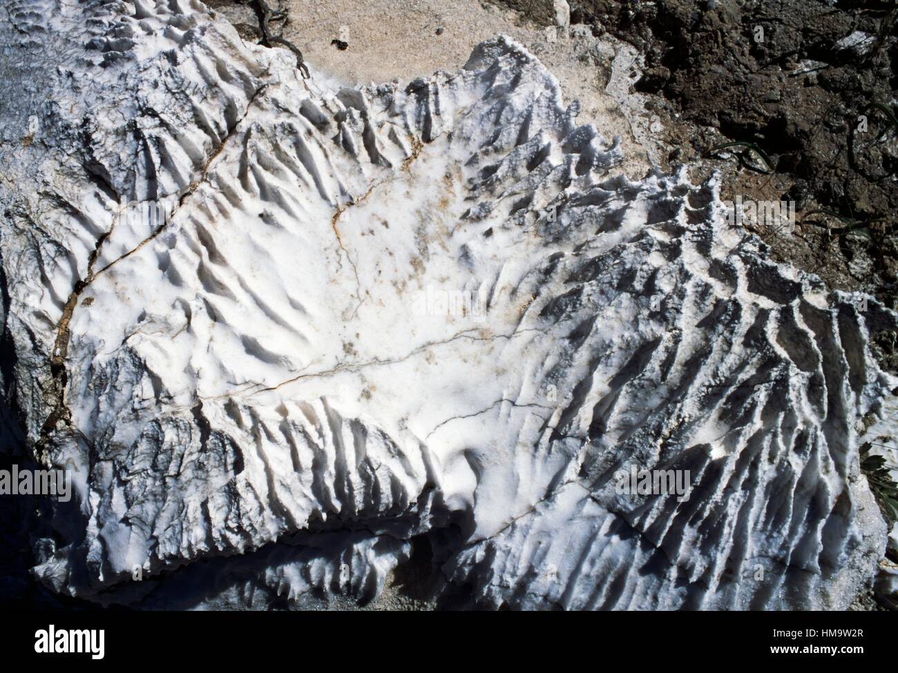Limestone outcrop, Skordilo, Crete, Greece Stock Photo - Alamy