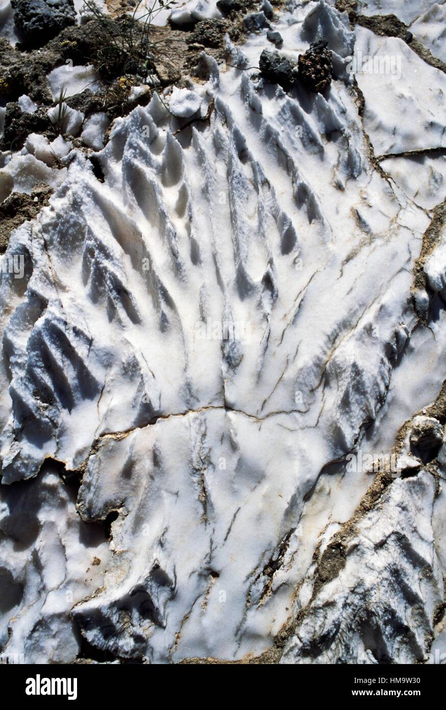 Limestone outcrop, Skordilo, Crete, Greece Stock Photo - Alamy