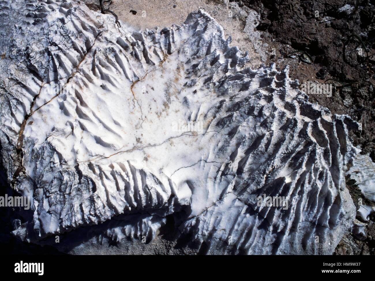 Limestone outcrop, Skordilo, Crete, Greece Stock Photo - Alamy