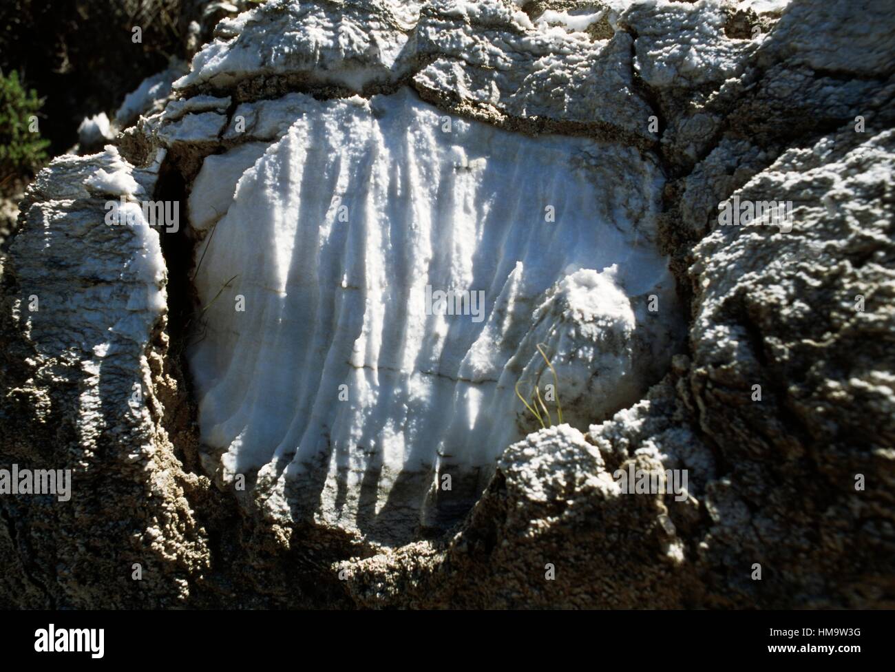 Limestone outcrop, Skordilo, Crete, Greece Stock Photo - Alamy