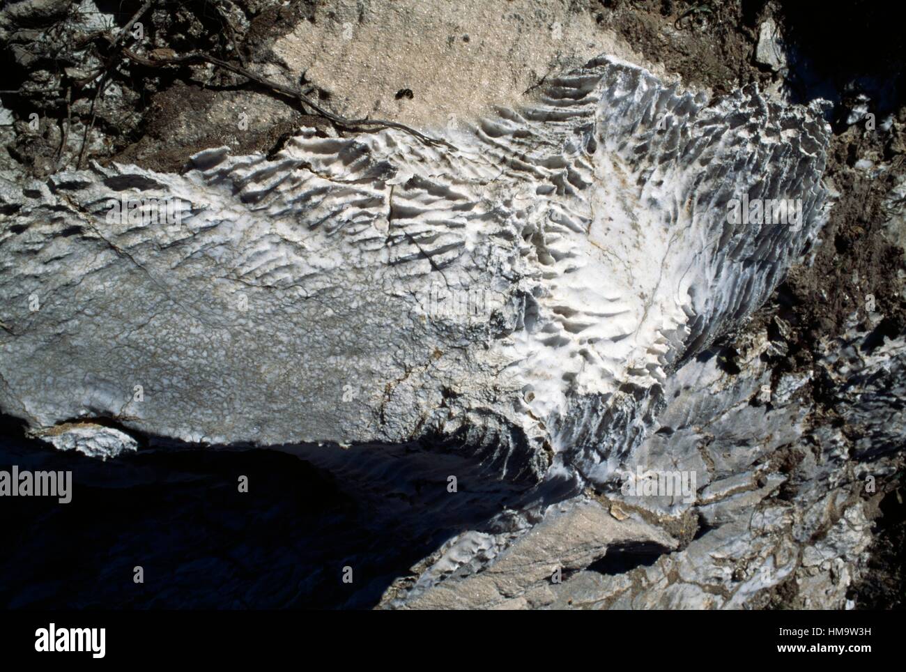 Limestone outcrop, Skordilo, Crete, Greece Stock Photo - Alamy