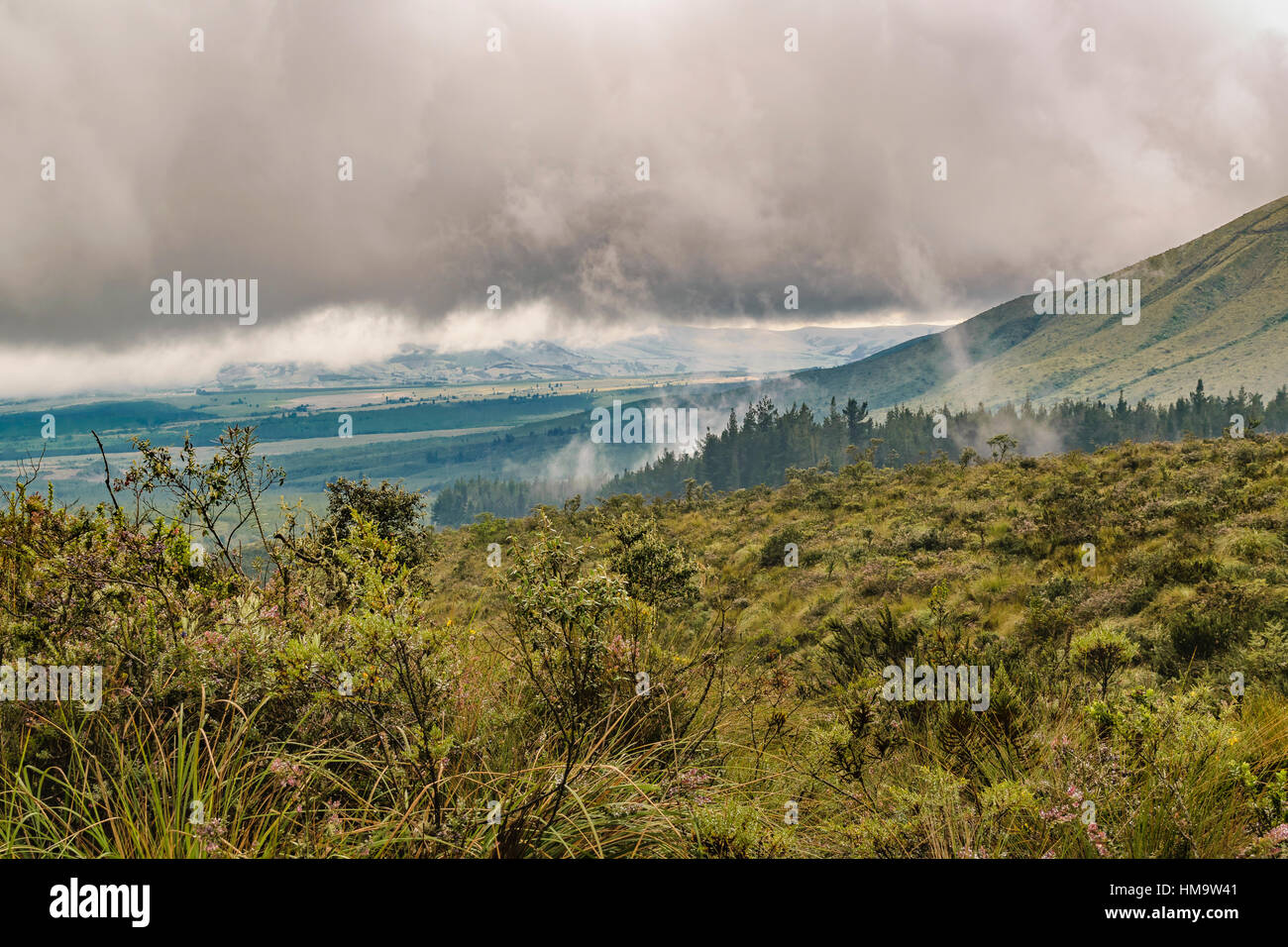 Andean landscape scene at Cotopaxi national park, Ecuador Stock Photo ...