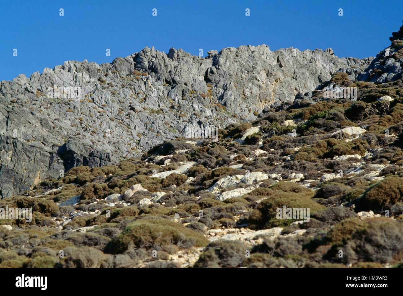 Landscape near Itanos archaeological site, Palekastro, Crete, Greece ...
