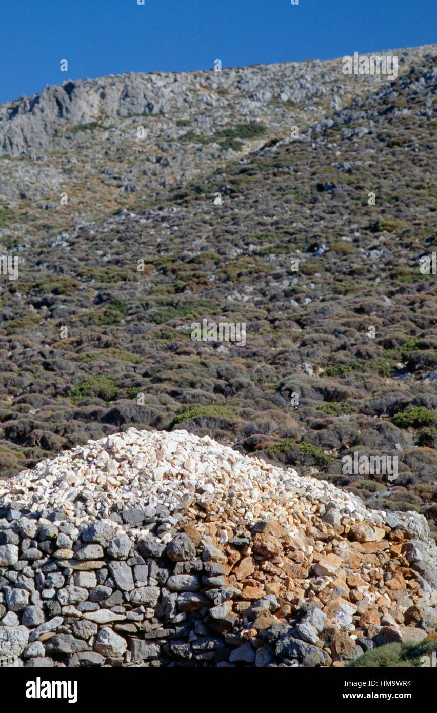 Landscape near Itanos archaeological site, with a stone wall in the ...