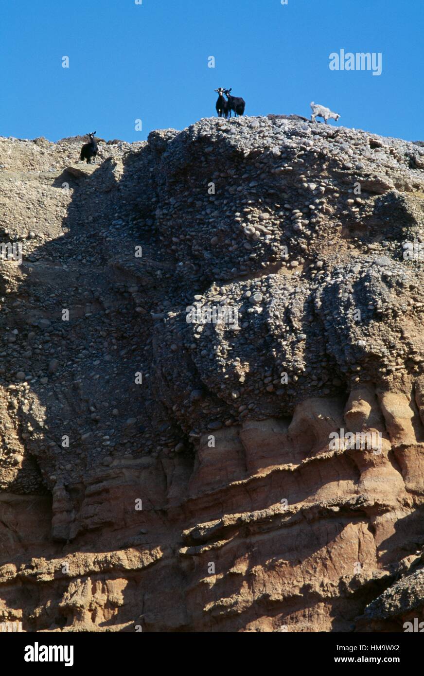 Cliff with goats near palekastro hi-res stock photography and images ...