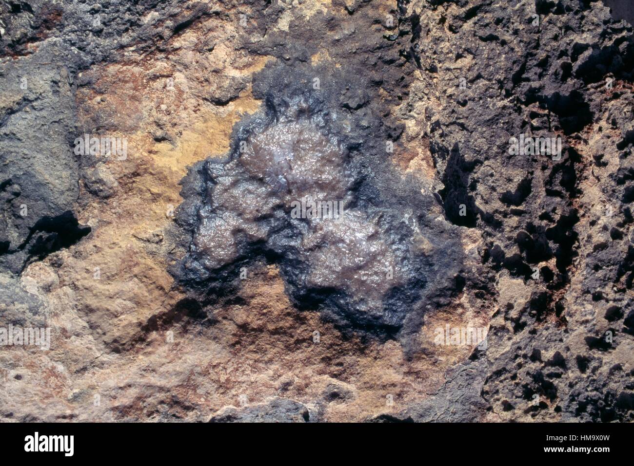 Coloured rock with inclusions, Itanos, Crete, Greece Stock Photo - Alamy
