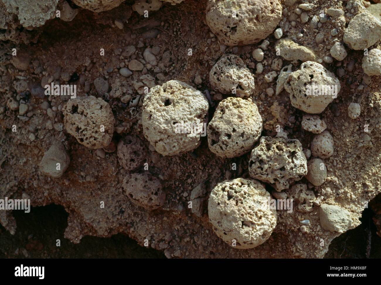 Pebble stones on the beach, Koufonissi Island, Crete, Greece Stock ...
