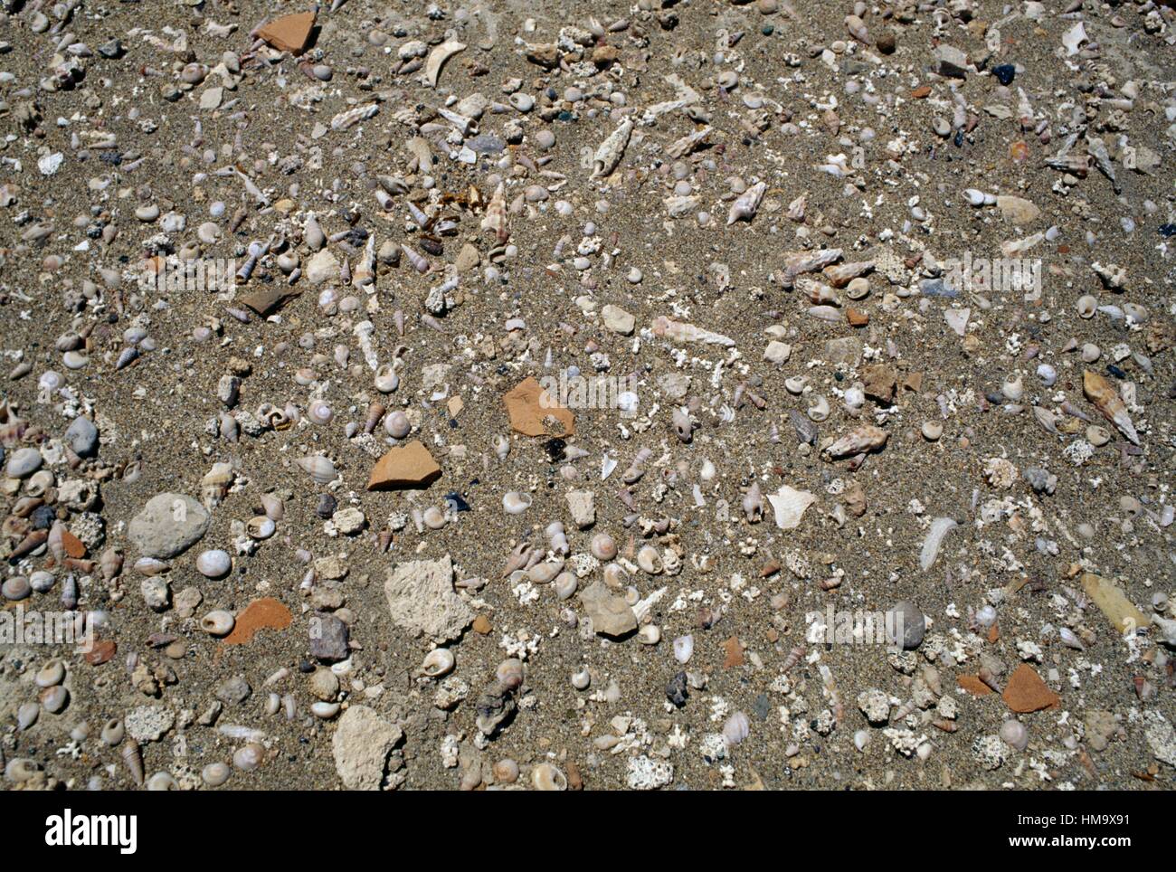 Pebble stones and shells, Koufonissi Island, Crete, Greece Stock Photo ...