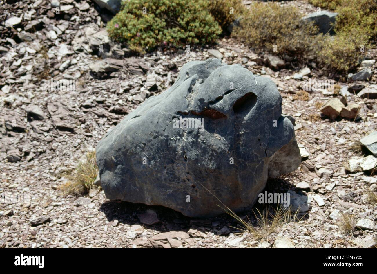 Bull head shaped rock hi-res stock photography and images - Alamy