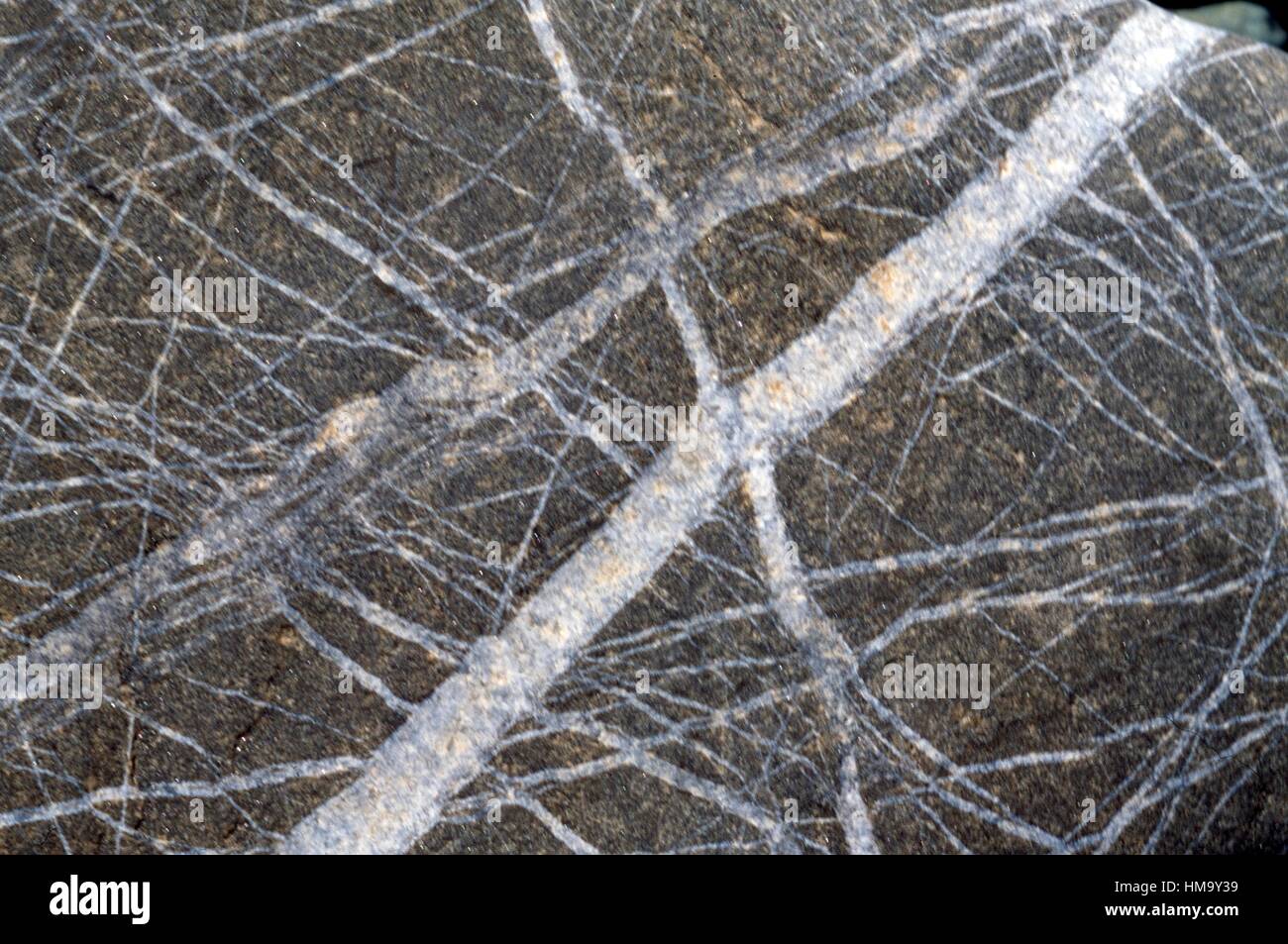 Stone with white lines, Crete, Greece. Detail Stock Photo - Alamy