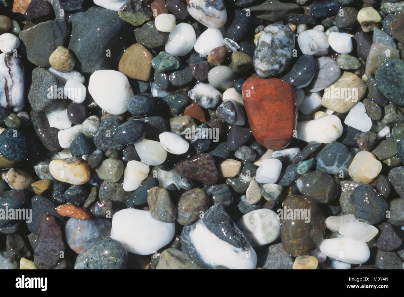 Coloured pebbles and stones, Crete, Greece Stock Photo - Alamy