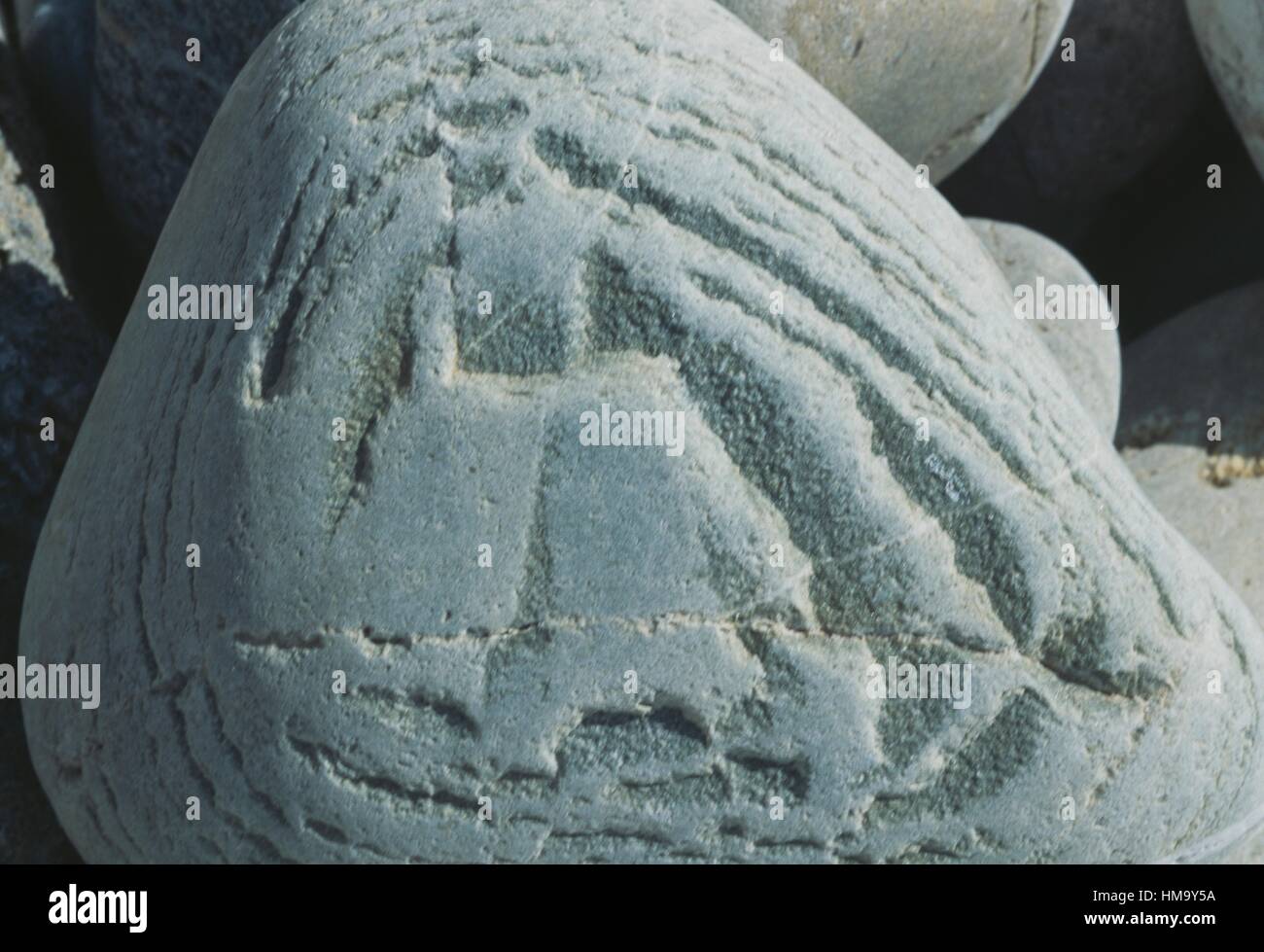 Eroded rock, Crete, Greece Stock Photo - Alamy