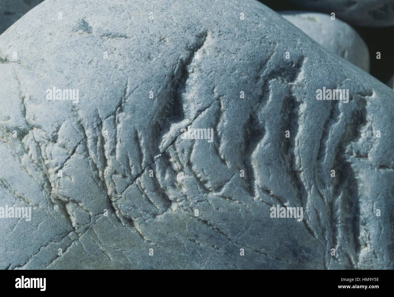 Erosion on a rock, Crete, Greece Stock Photo - Alamy