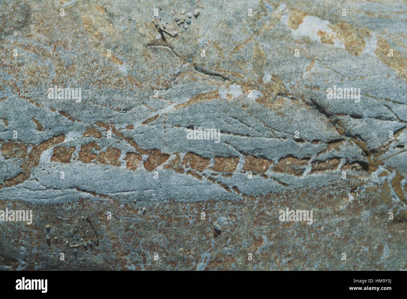 Mottled rock, Crete, Greece Stock Photo - Alamy