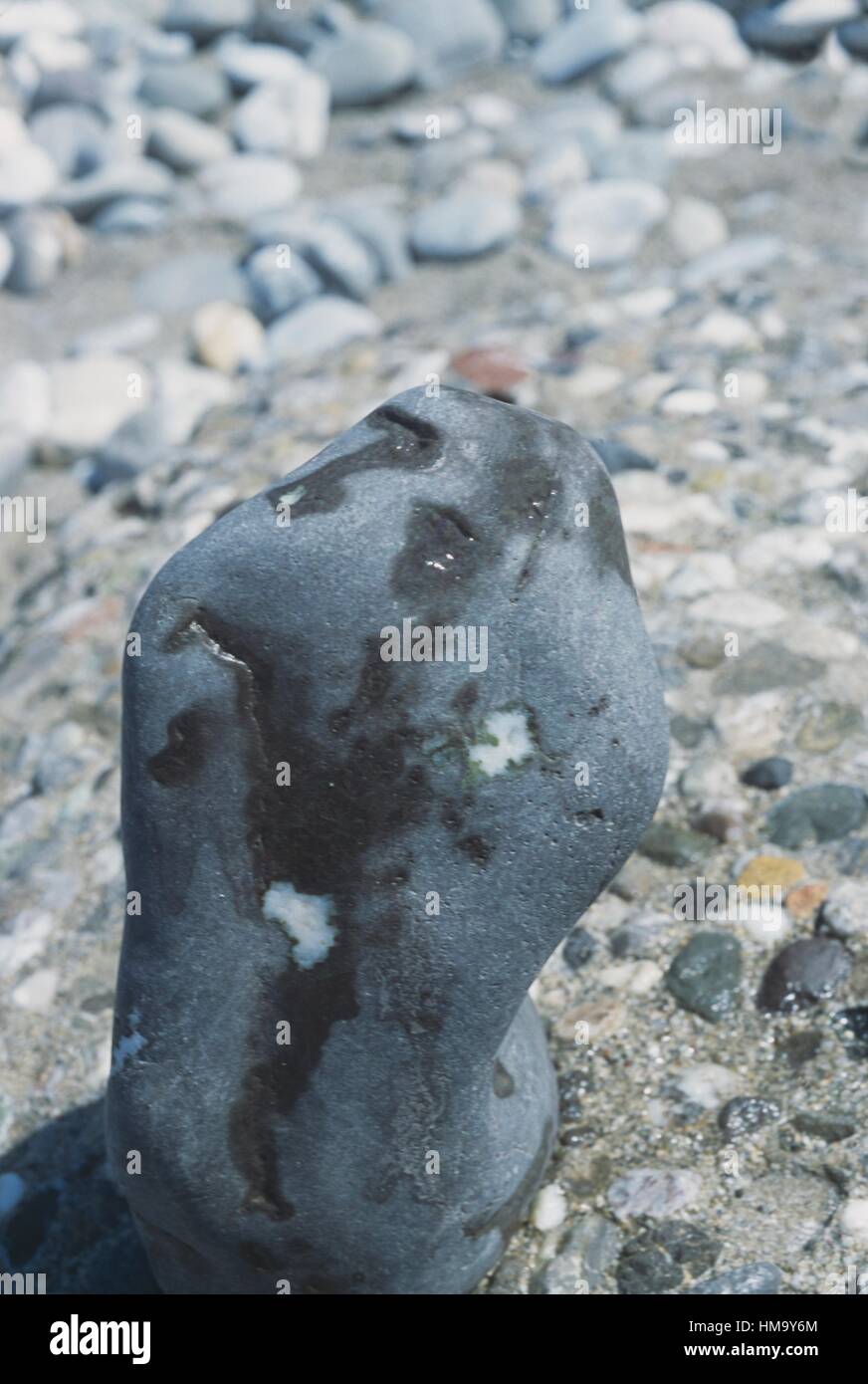 Mottled rock hi-res stock photography and images - Alamy