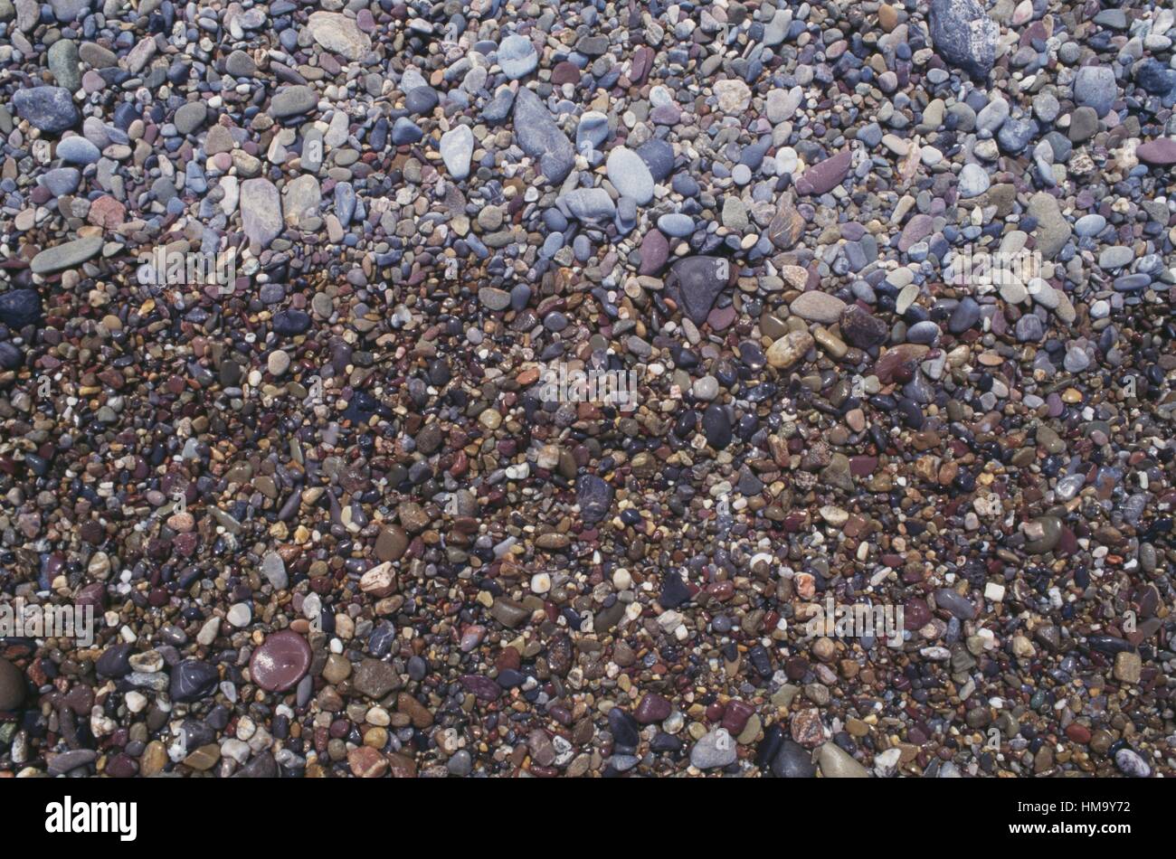 Dry stones and wet stones, Kouremenos beach, Crete, Greece Stock Photo ...