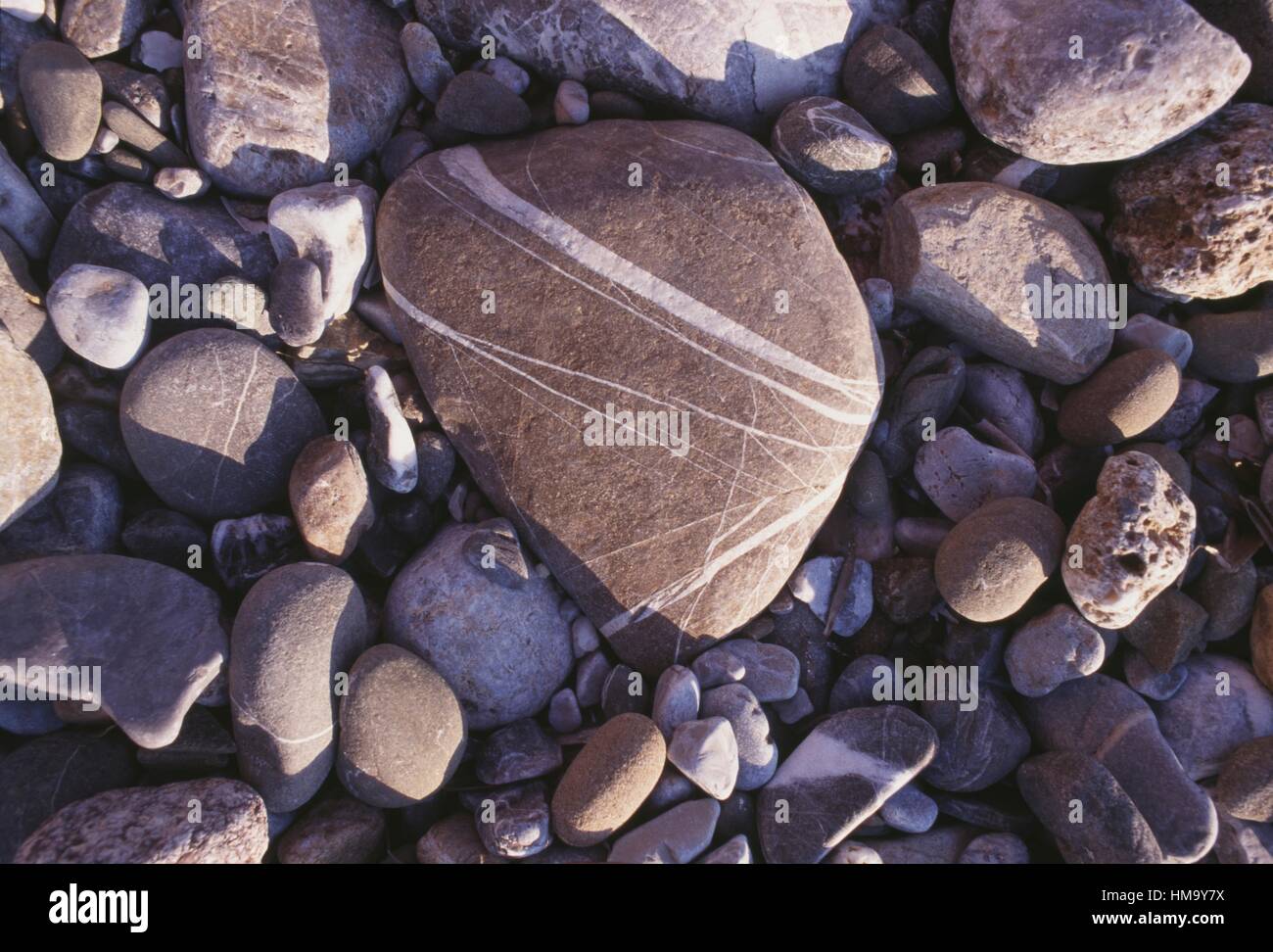 Grey rock with white lines, Crete, Greece Stock Photo - Alamy