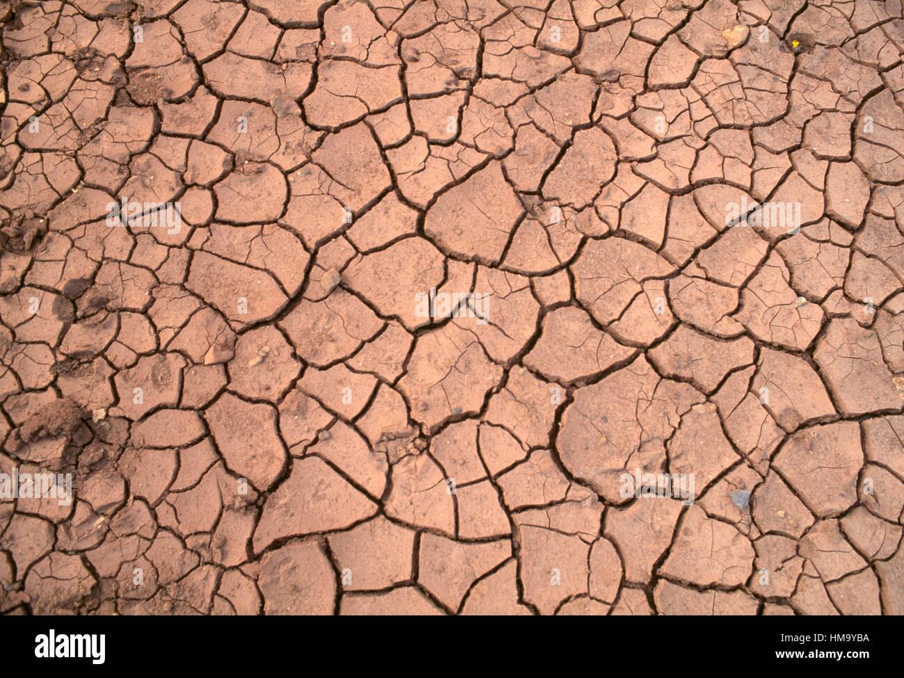 Dry ground with cracks, Rodopi, Crete, Greece Stock Photo - Alamy