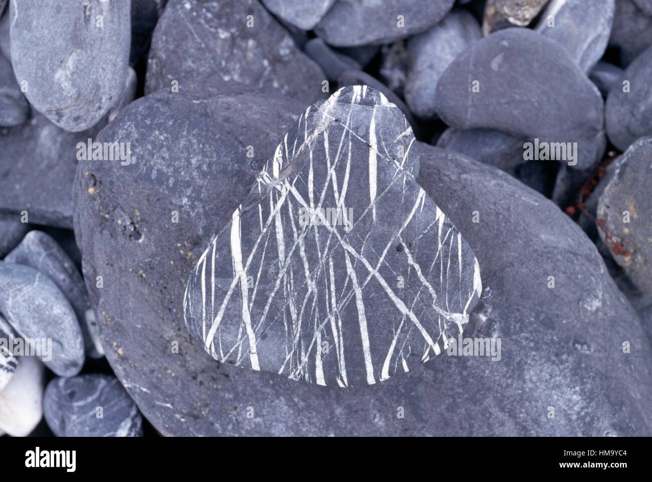 Rock with white lines, Crete, Greece Stock Photo - Alamy