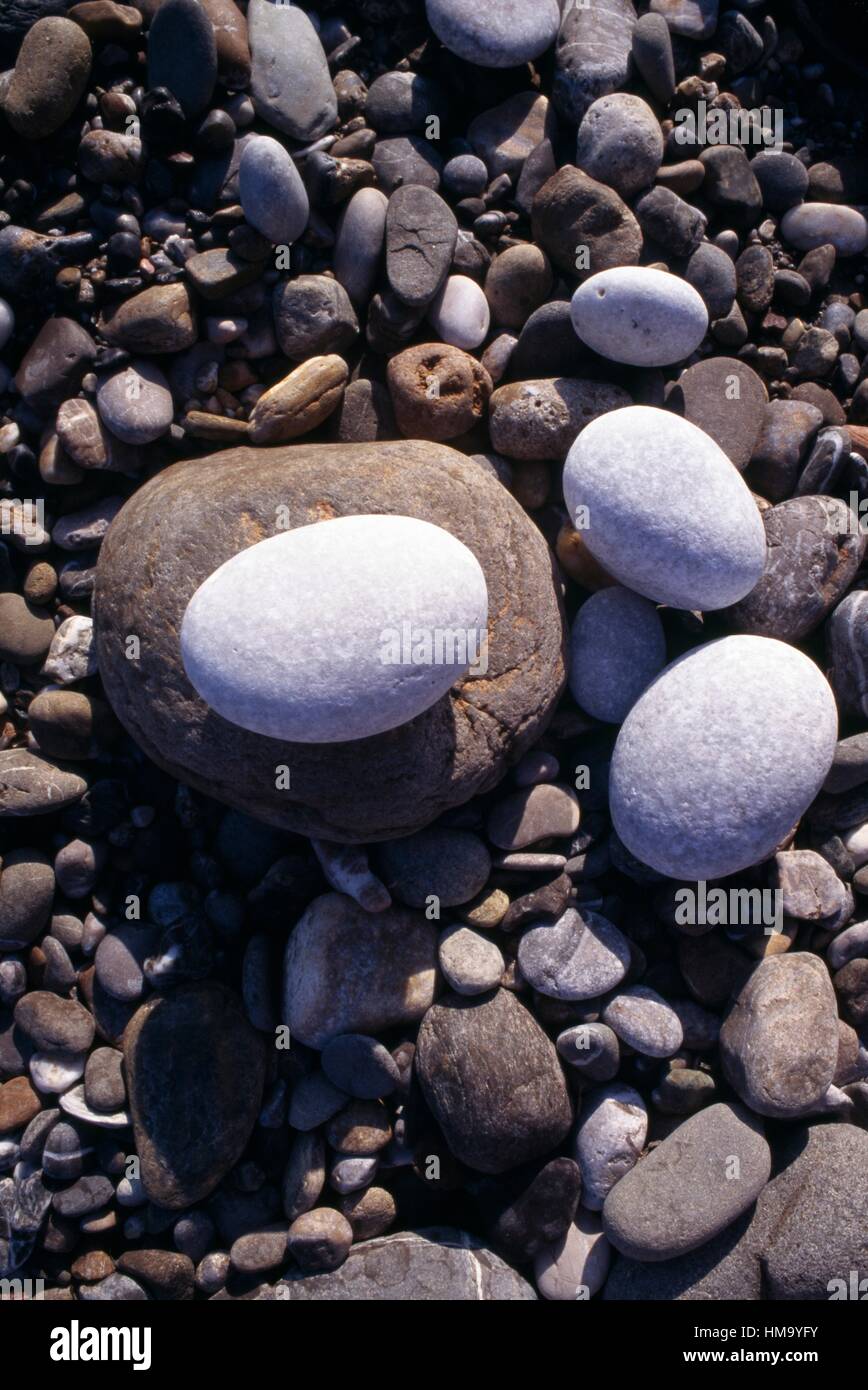 White rock on a larger grey rock sitting on gravel, Crete, Greece Stock ...