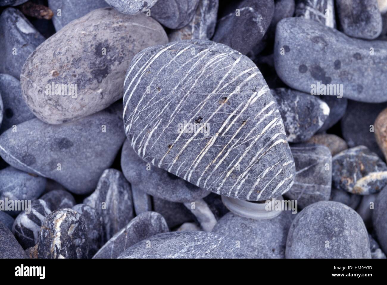 Rock with parallel white lines, Crete, Greece Stock Photo - Alamy