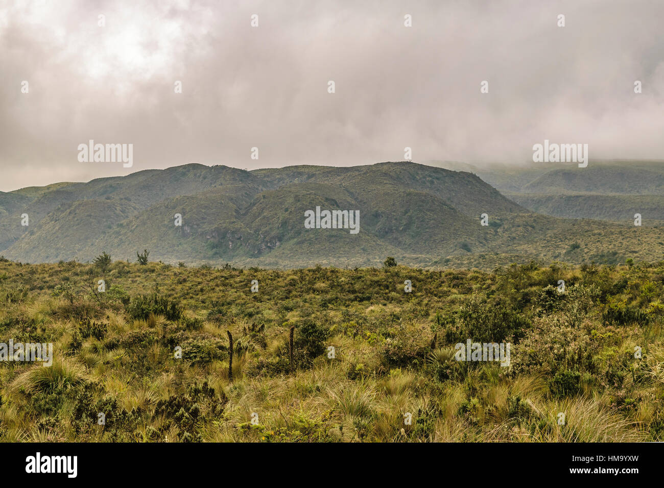 Andean landscape scene at Cotopaxi national park, Ecuador Stock Photo ...