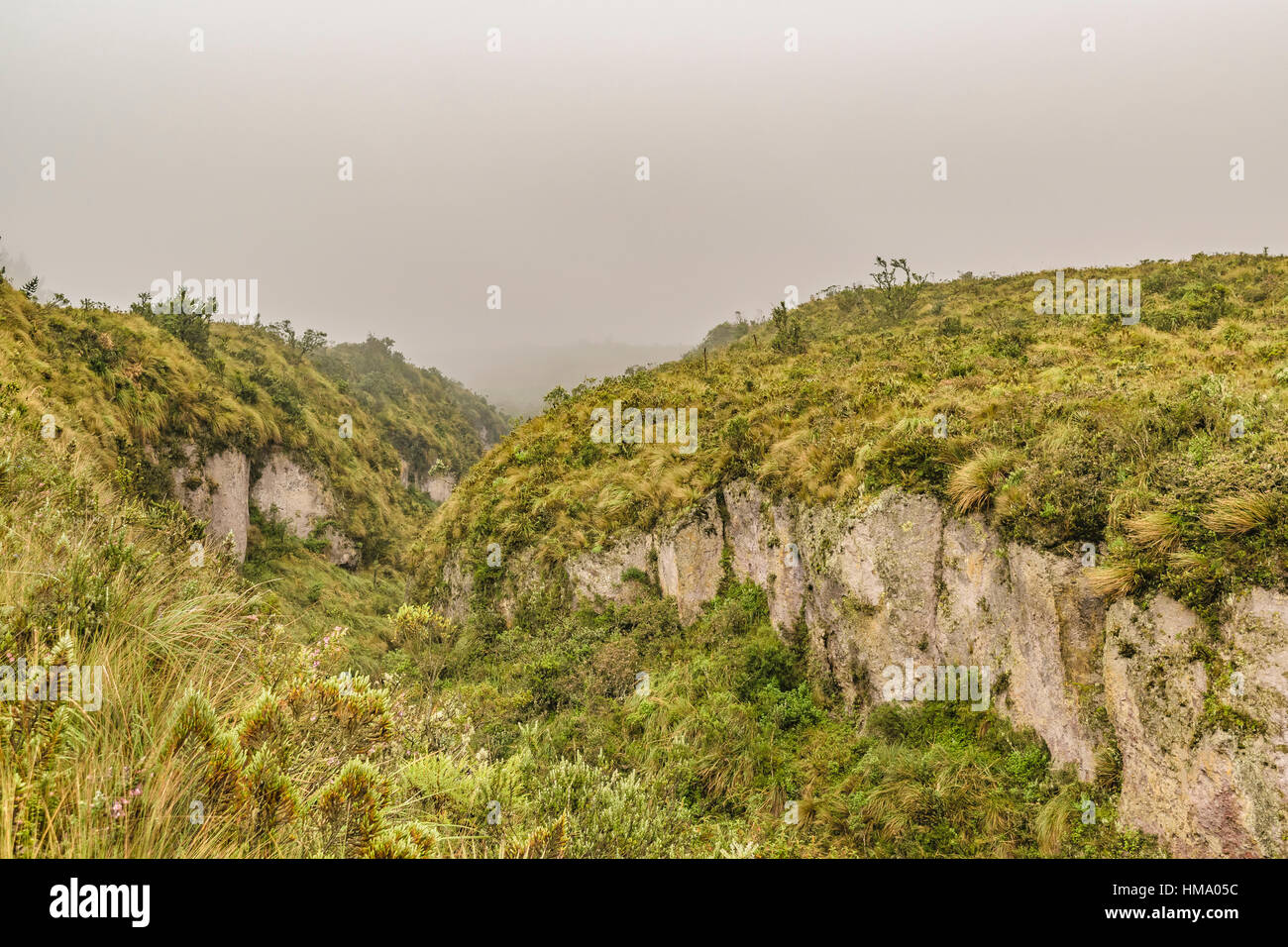 Andean landscape scene at Cotopaxi national park, Ecuador Stock Photo ...