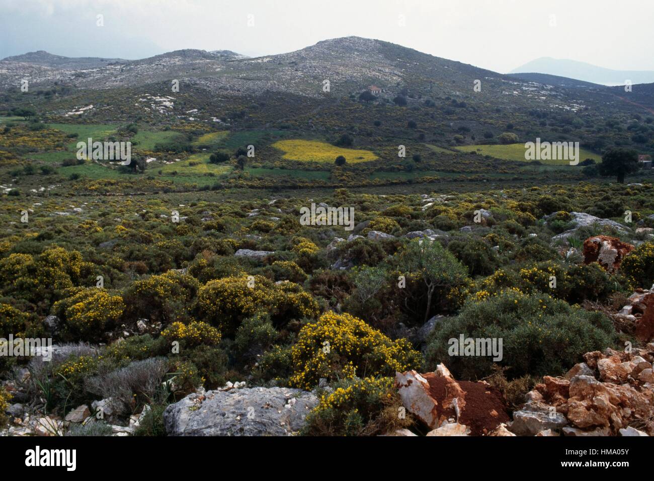 Vegetation and mountain ranges, Kastellorizo island, Greece Stock Photo ...