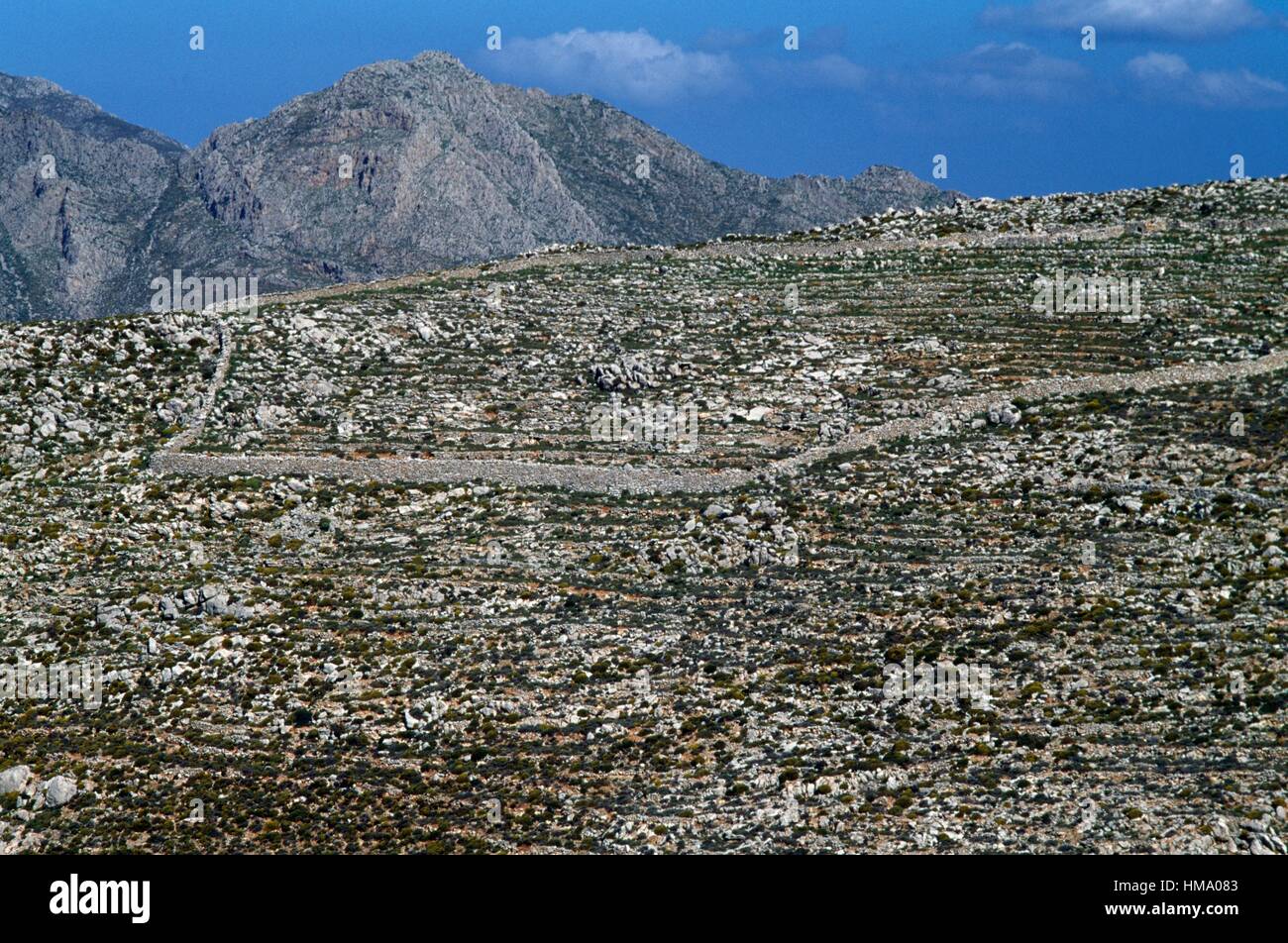 Mountain ranges and stone walls, Tilos island, Greece Stock Photo - Alamy