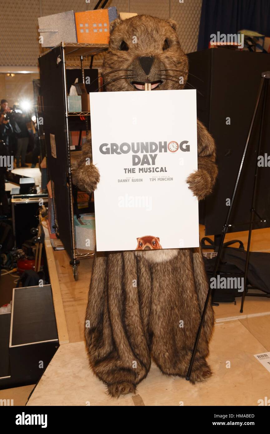New York, USA. 2nd Feb, 2017. The Groundhog in attendance for GROUNDHOG ...