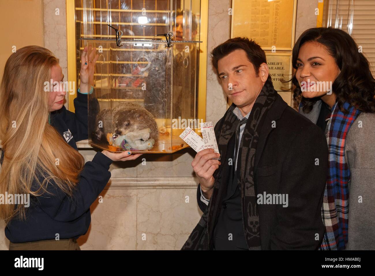 Staten island chuck groundhog hi-res stock photography and images - Alamy