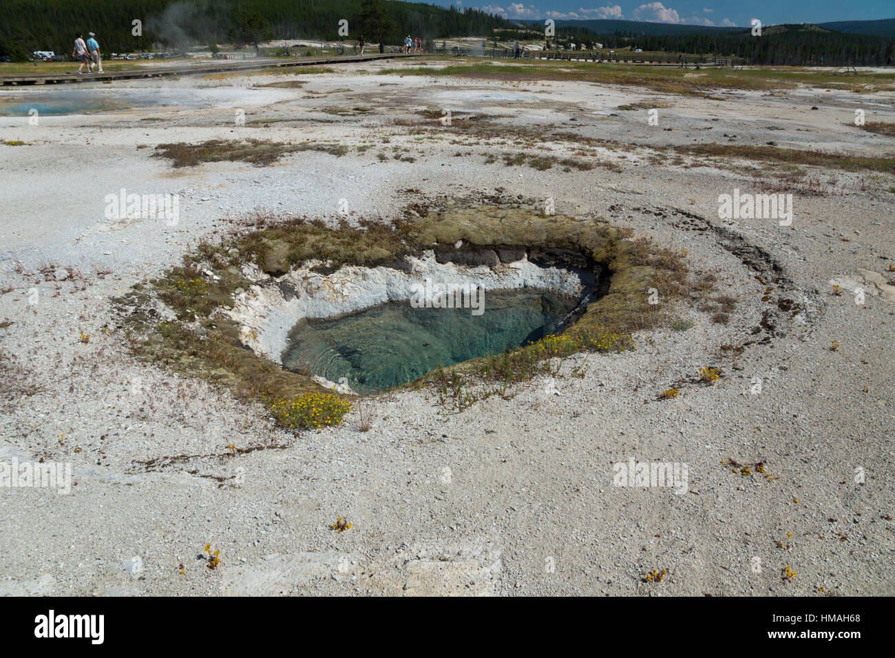 Biscuit Basin, Yellowstone National Park, Wyoming, USA Stock Photo - Alamy