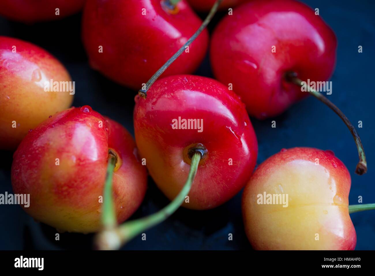 Rainier cherry tree hi-res stock photography and images - Alamy