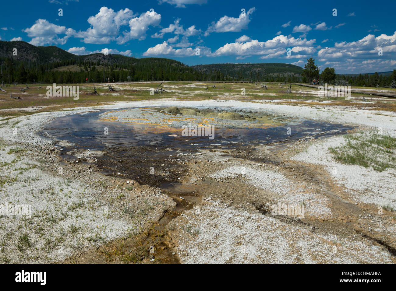 Biscuit Basin, Yellowstone National Park, Wyoming, USA Stock Photo - Alamy