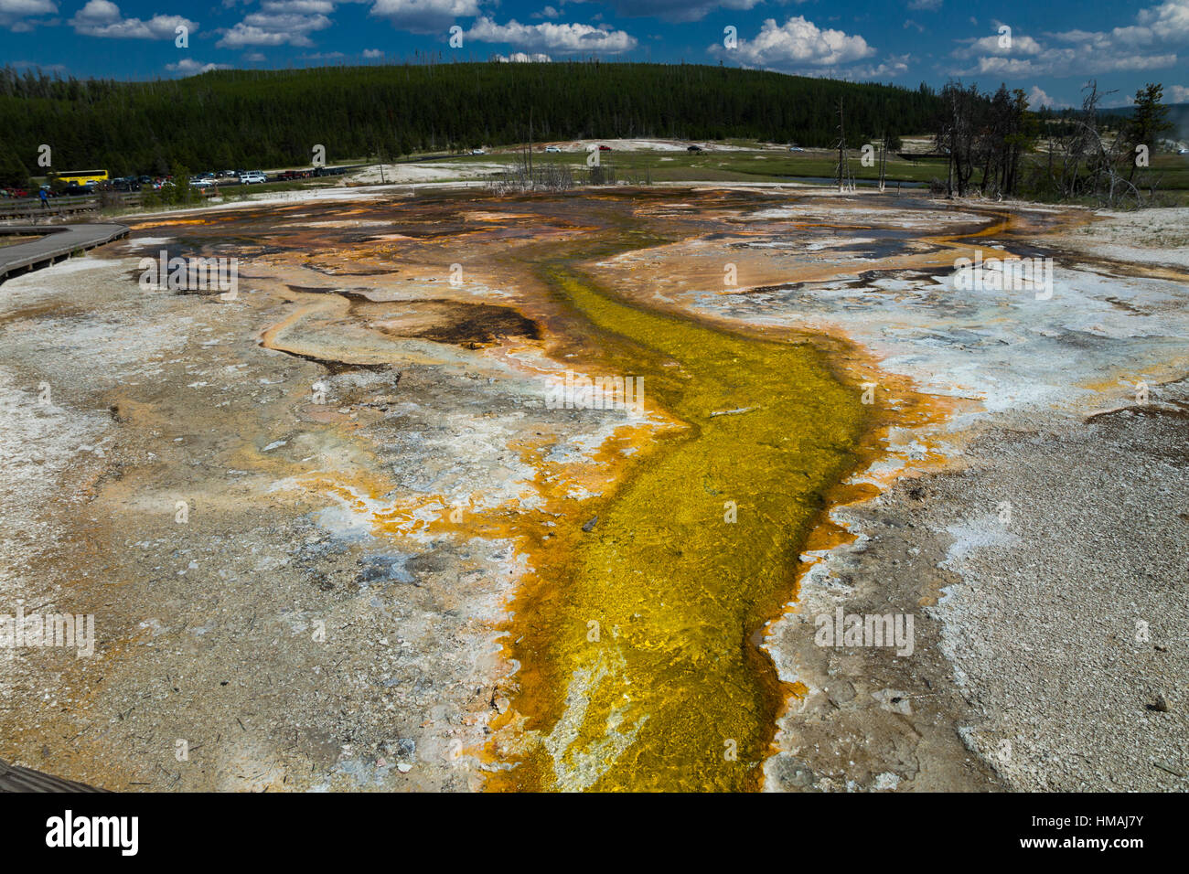 Biscuit Basin, Yellowstone National Park, Wyoming, USA Stock Photo - Alamy