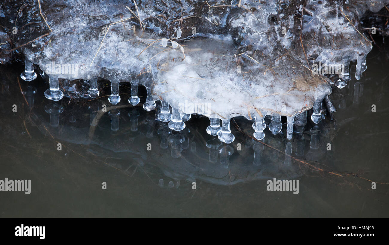 Small round icicles over water Stock Photo - Alamy