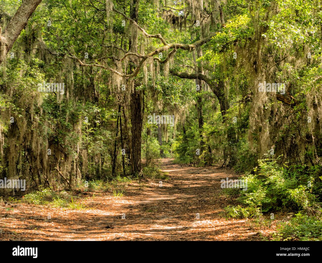 Harris neck national wildlife refuge hi-res stock photography and ...